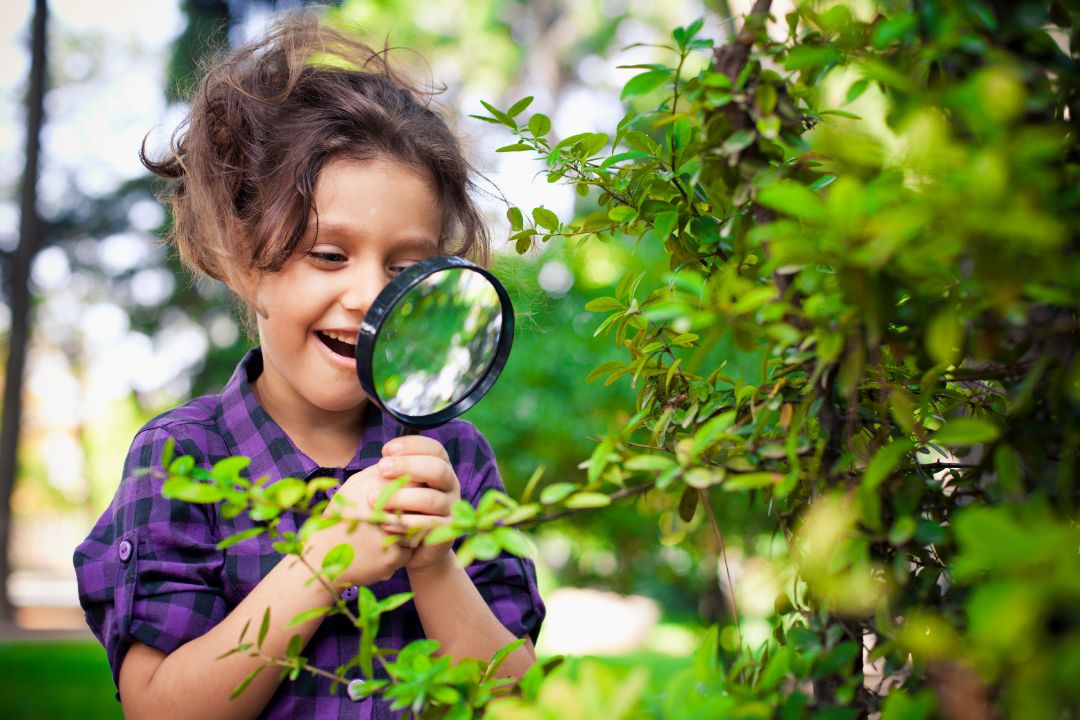 Let’s Go on a Nature Walk! - International Nanny