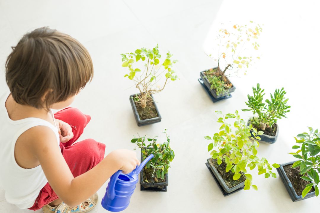 Science Series: The Life Cycle of Plants - International Nanny